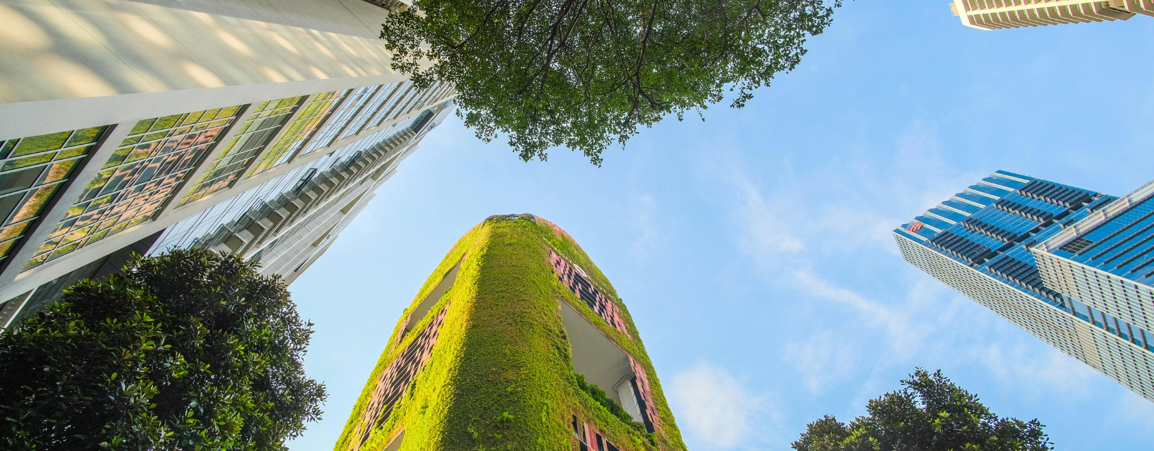 Stakeholder Pressure Creates Paradox In Sustainable Supply Chain